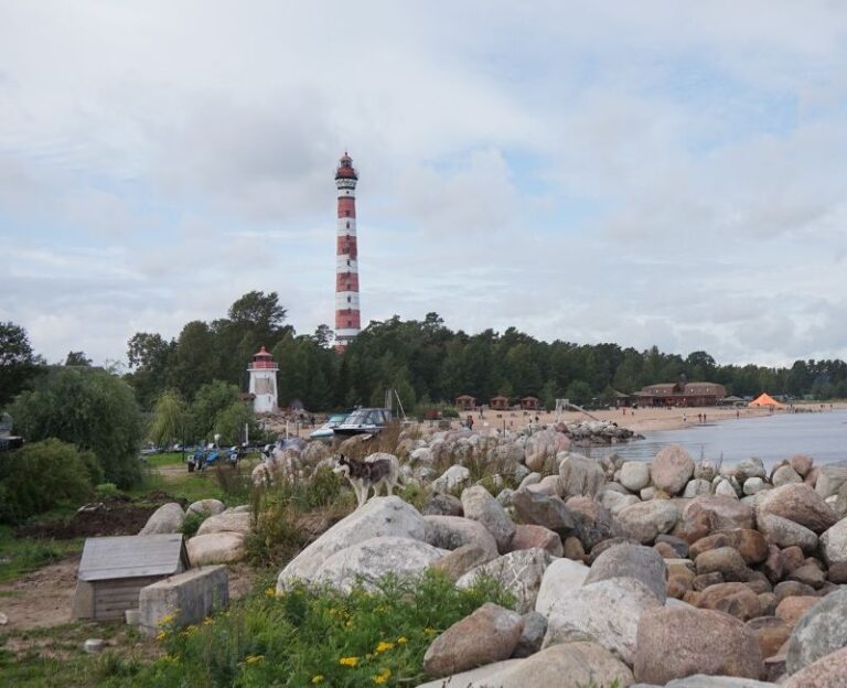 The Harbor - Anchoring Lives. Launching Hope. Restoring Nations.